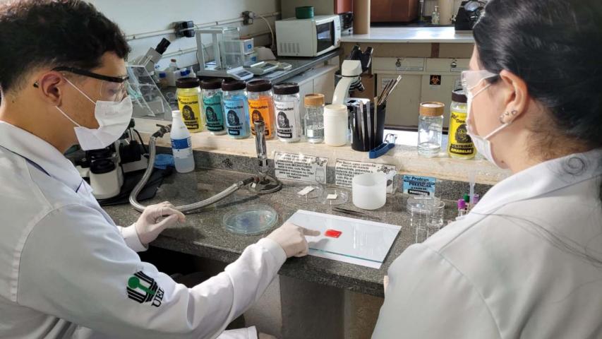 Secretaria da Inovação, Modernização e Transformação Digital